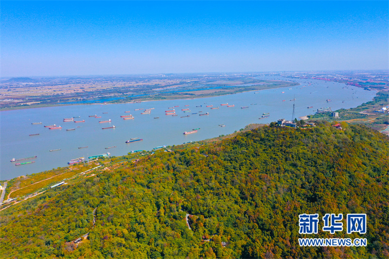 飞阅”中国】南京栖霞山：“彩枫”斑斓 如诗如画_桐庐新闻网