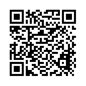 CNESA重磅发布：我国新型储能累计装机首次超过100GWh 产能投资回归理性-新华网