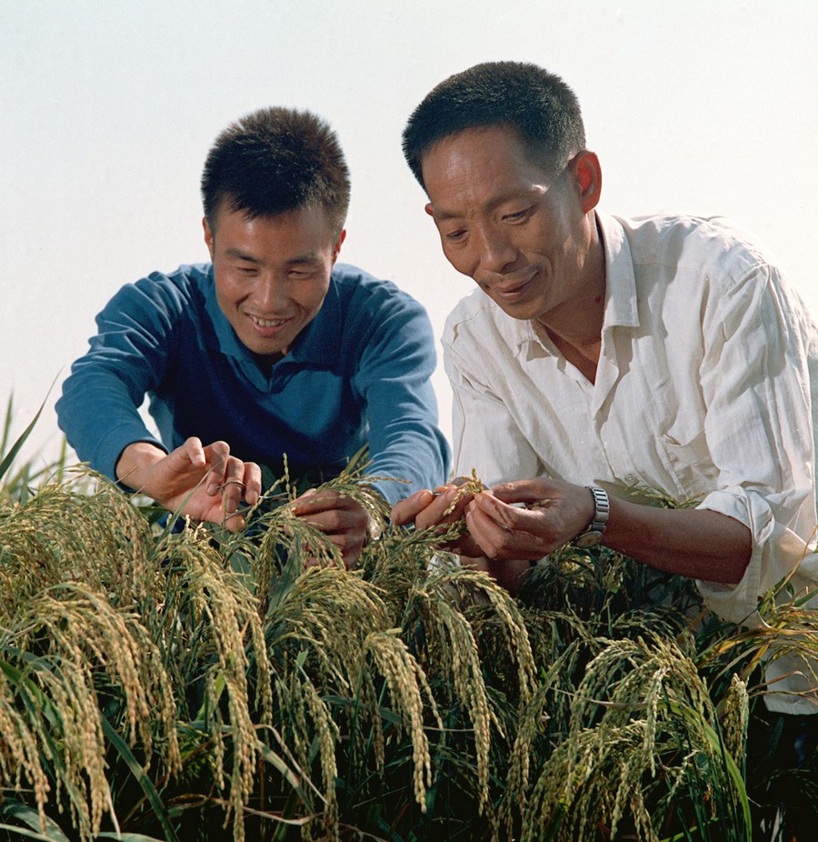 "Father of hybrid rice" Yuan Longping dies at 91 - Xinhua | English.news.cn