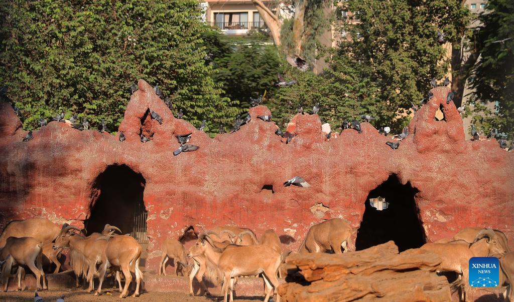 People visit Giza Zoo in Giza, Egypt - Xinhua