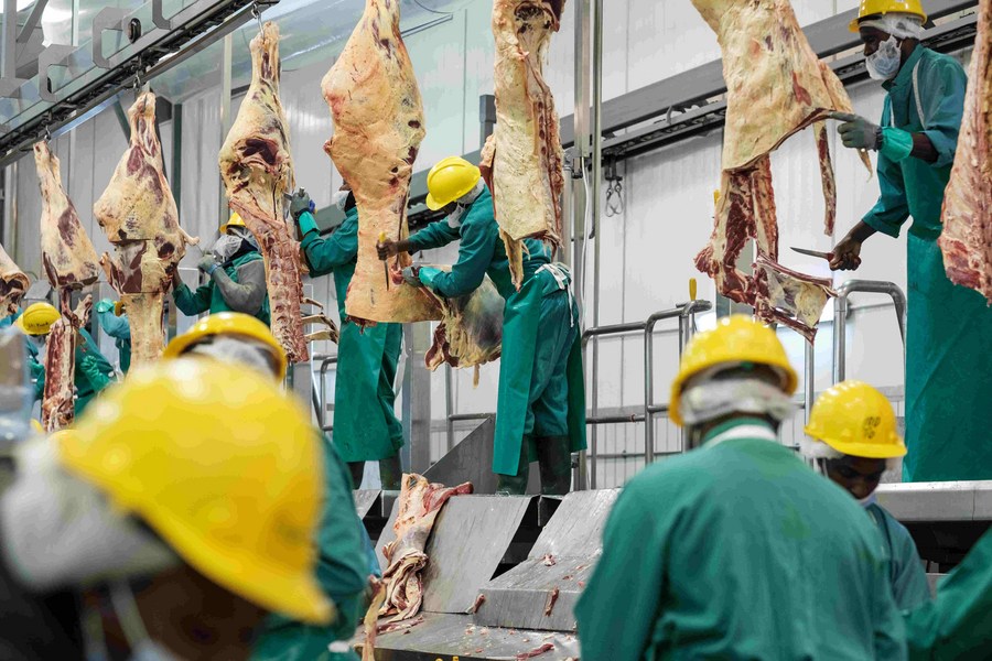 China remains Namibia's top export destination in September - BELT AND ...