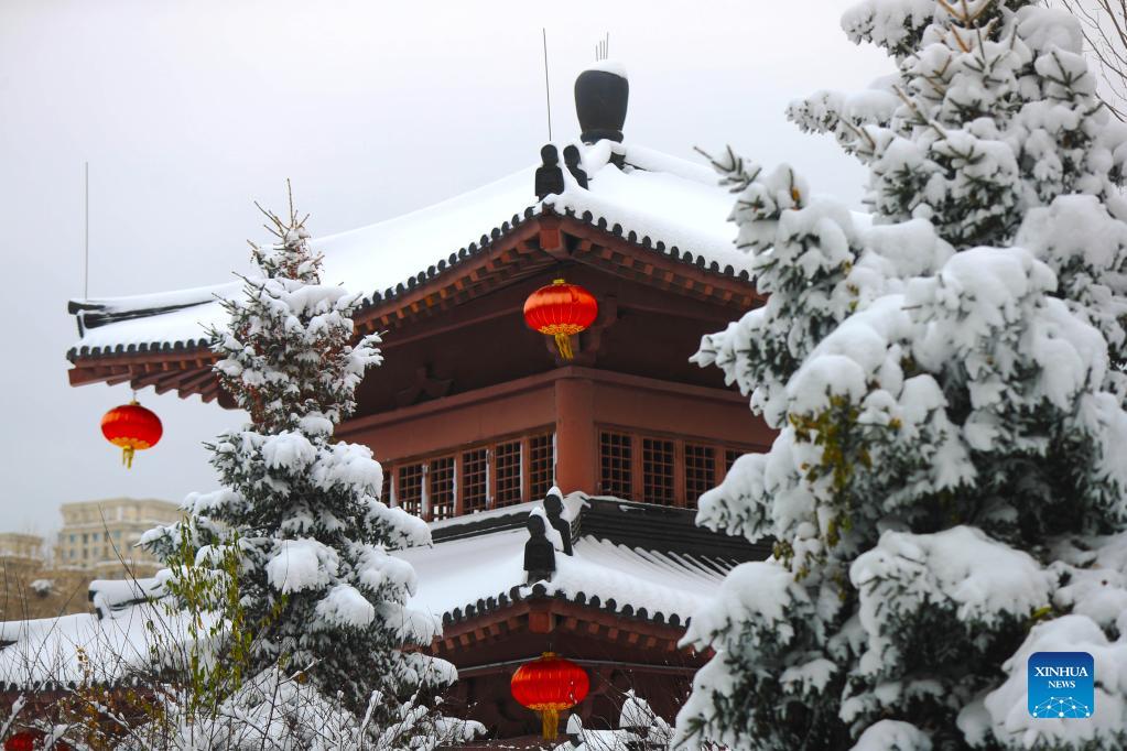 Snow scenery in Shenyang, NE China - Xinhua