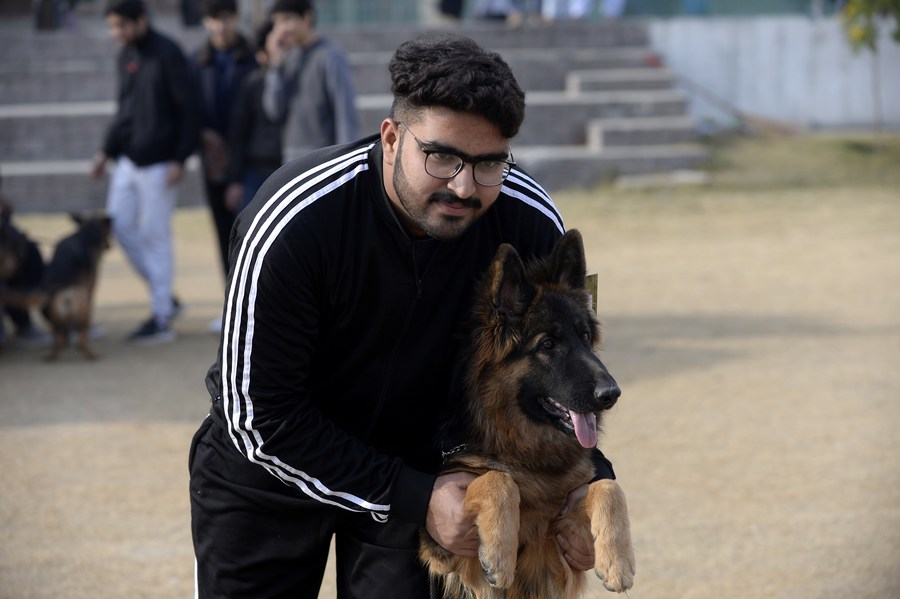 Pakistani Shepherd Dog
