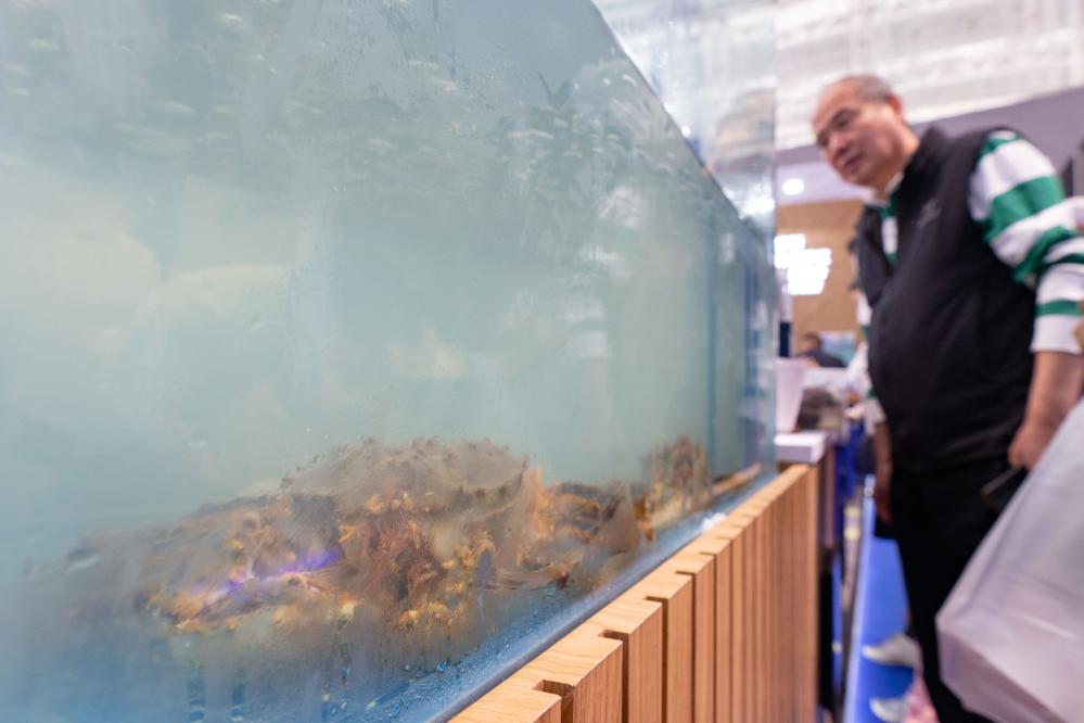 从深海到餐桌——俄罗斯帝王蟹让中国人大饱口福-新华网