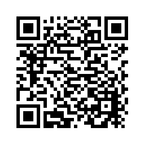 CoGoLinks结行国际交易量增长65.55% 定制化解决方案赋能中国企业数字化出海-新华网