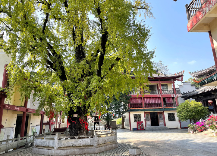 重走《湖南农民运动考察报告》调研路-新华网