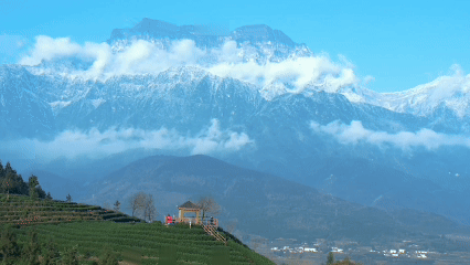 美丽中国行丨峨眉山—乐山大佛：山水藏韵 生灵共生-新华网