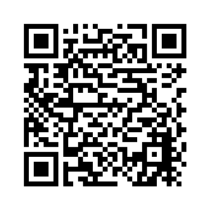 CNNIC最新报告：智能体成为生成式人工智能应用主流形态之一-新华网