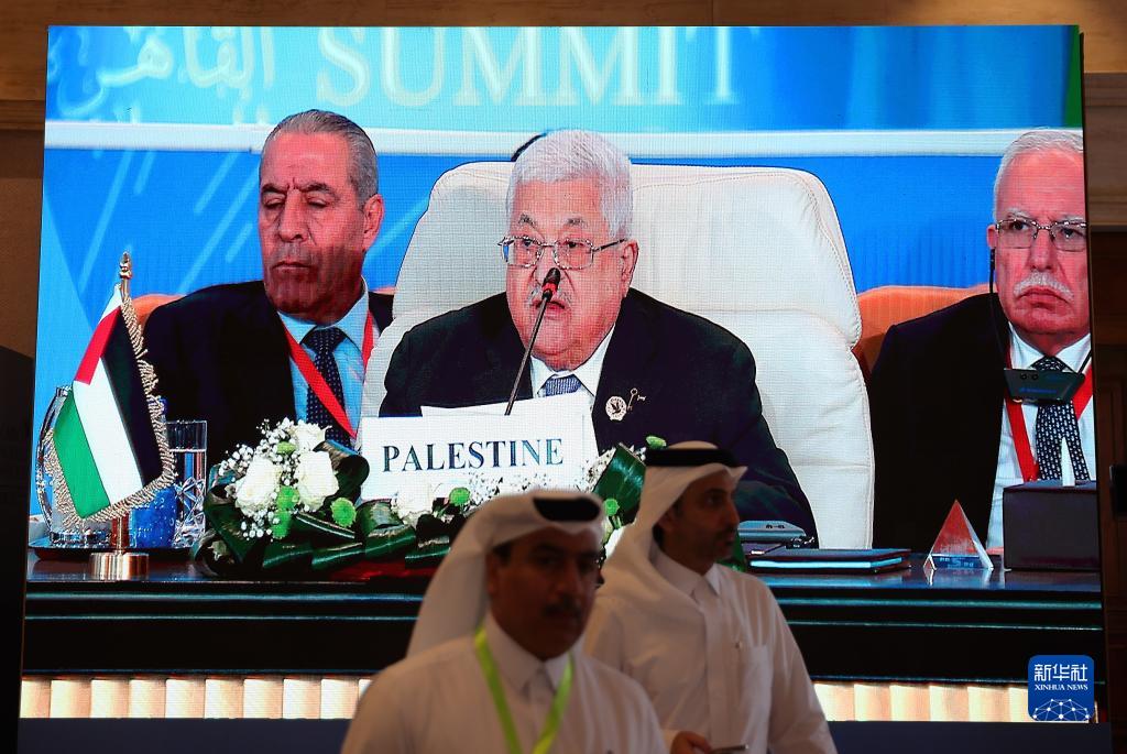 巴勒斯坦问题峰会在埃及举行 各方呼吁巴以停火止战-新华网