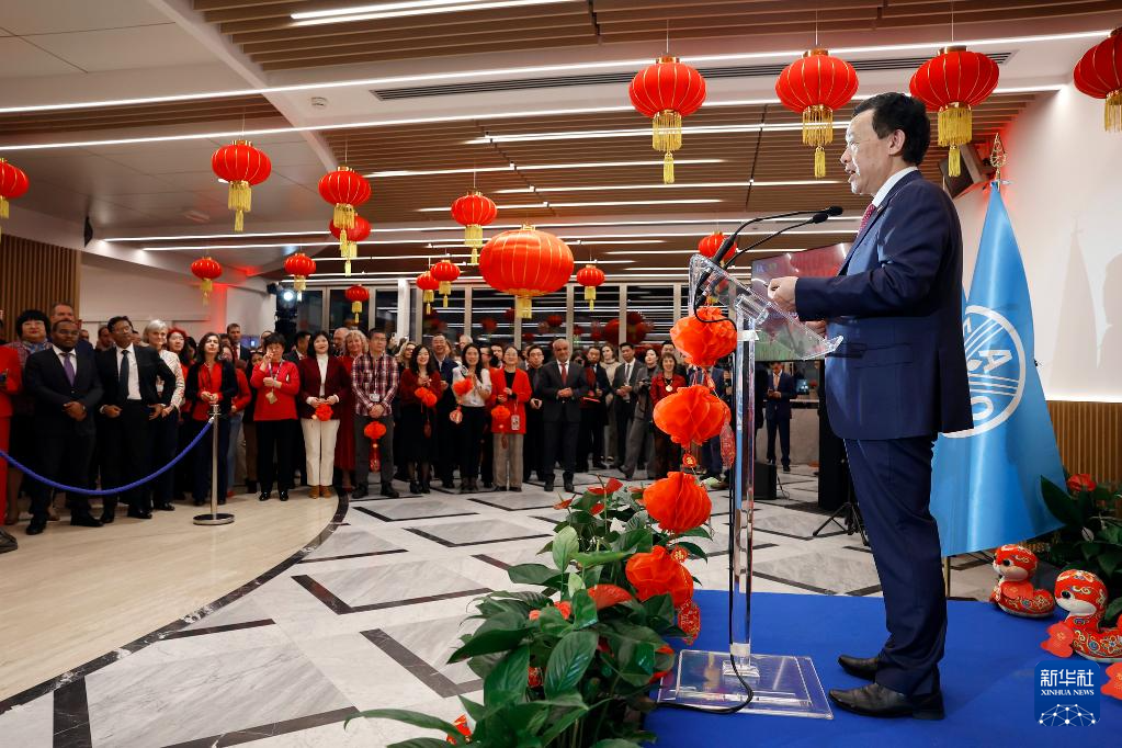 粮农组织举办招待会庆祝中国农历春节-新华网